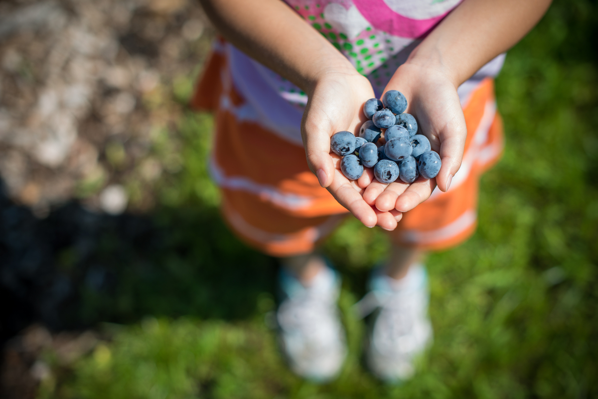 4 Tips To Keep Kids Healthy