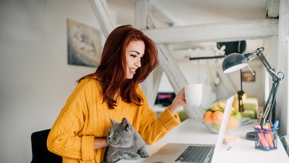 A Guide on How to Make the Most of Working From Home During Coronavirus ...
