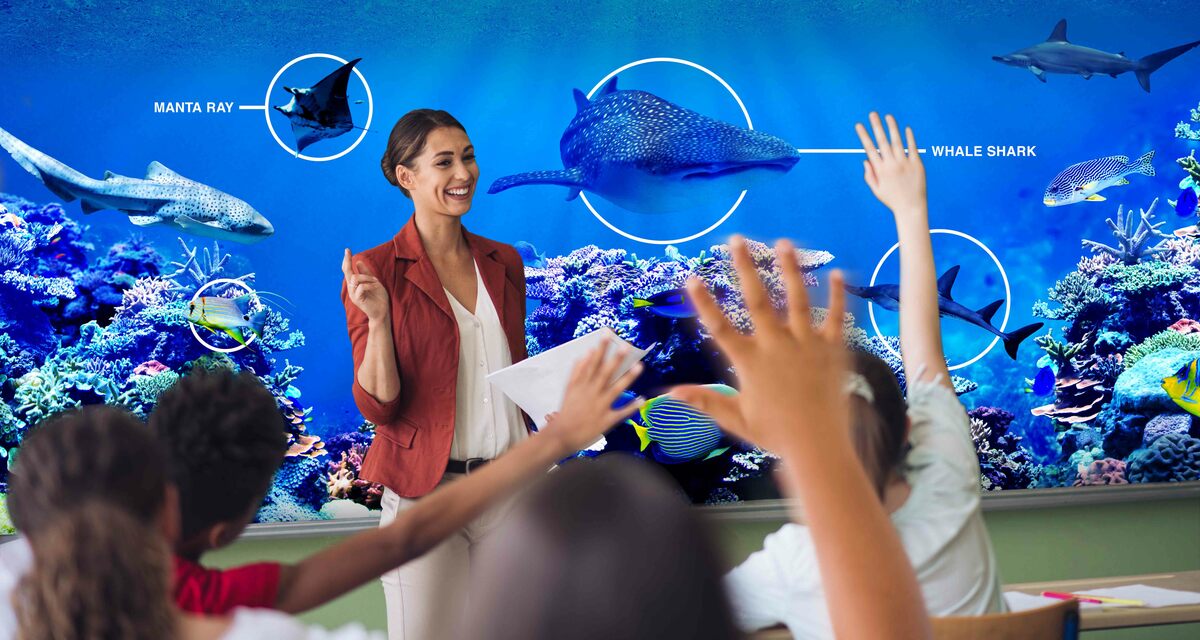 Webinar: Create Immersive Learning Experiences Using Projection Technology