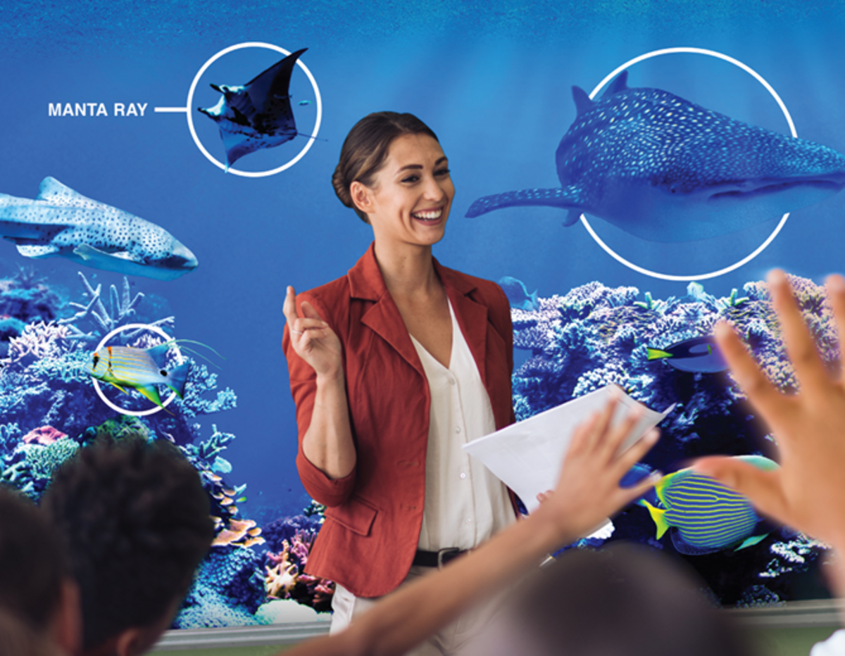 Essential Technology: The Tool Every Modern Classroom Needs